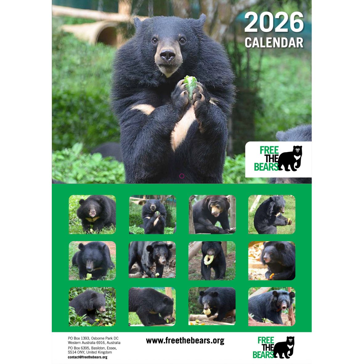2026 Wall calendar – Free the Bears